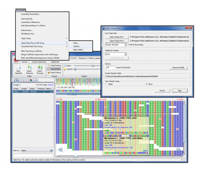 Next Generation Sequencing Dna Sequencing Software Sequencher From
